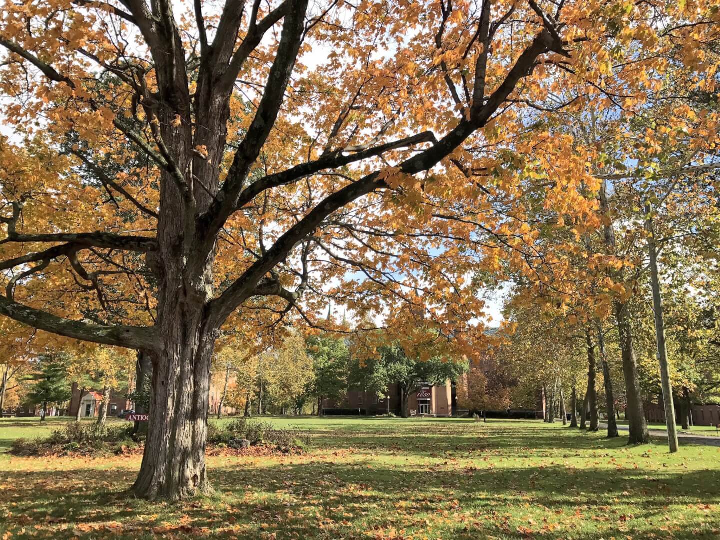 College Sees Fall Enrollment Increase - Antioch College